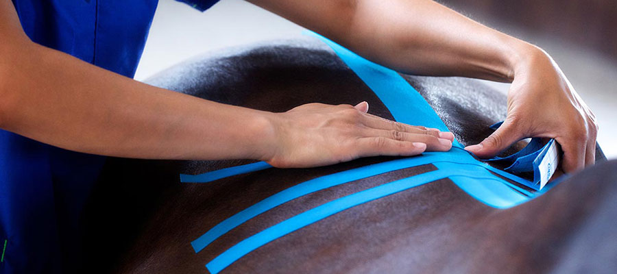 Online Shop | Massage and K-taping Tools | Equi-ed