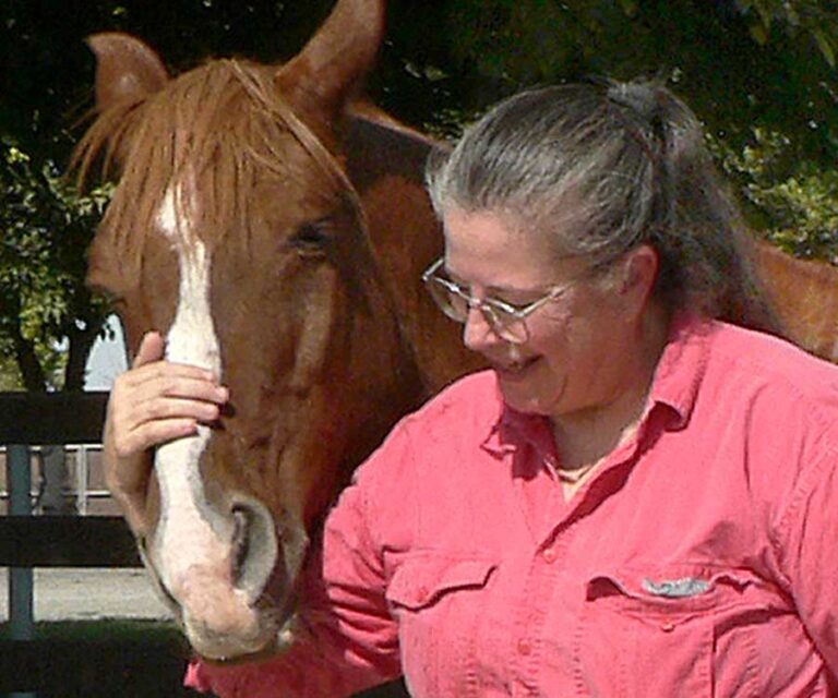 Equi-ed | Massage Therapy Education Centre | Equine Courses