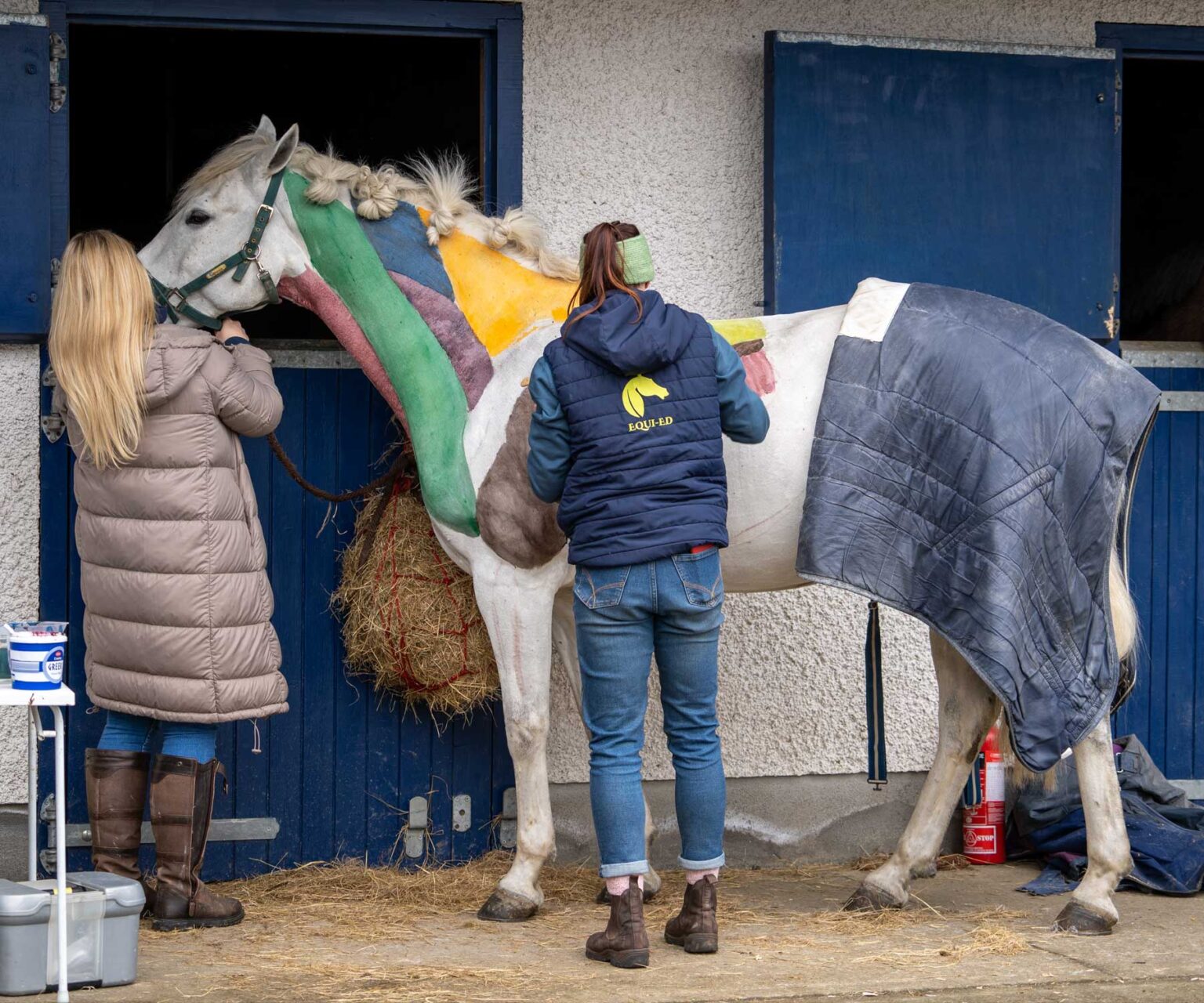 Equi-ed | Massage Therapy Education Centre | Equine Courses