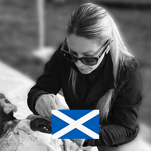 Equine Dissection with Becks Nairns Scotland - Equied Course