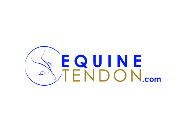 Equi-ed | Massage Therapy Education Centre | Equine Courses